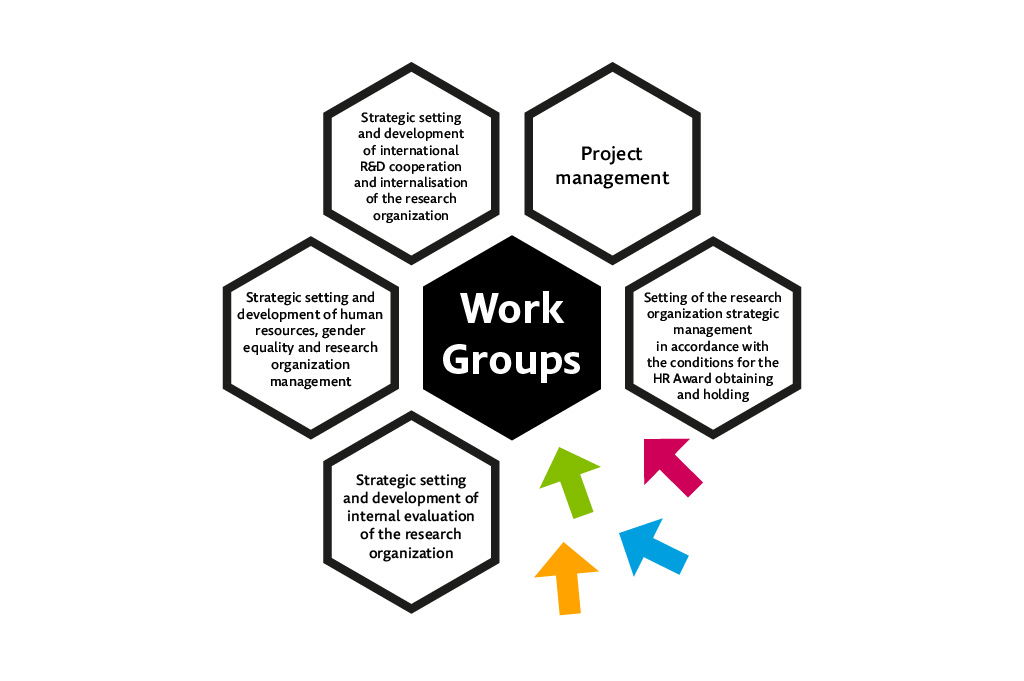 Work Groups and their Specialization - University of Hradec Králové